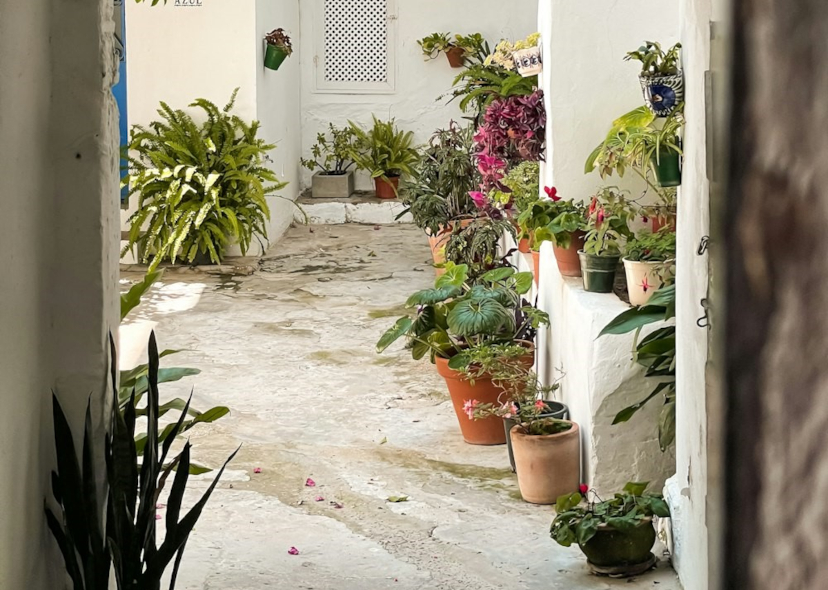 Décoration de votre terrasse verte : créer un espace extérieur où ...